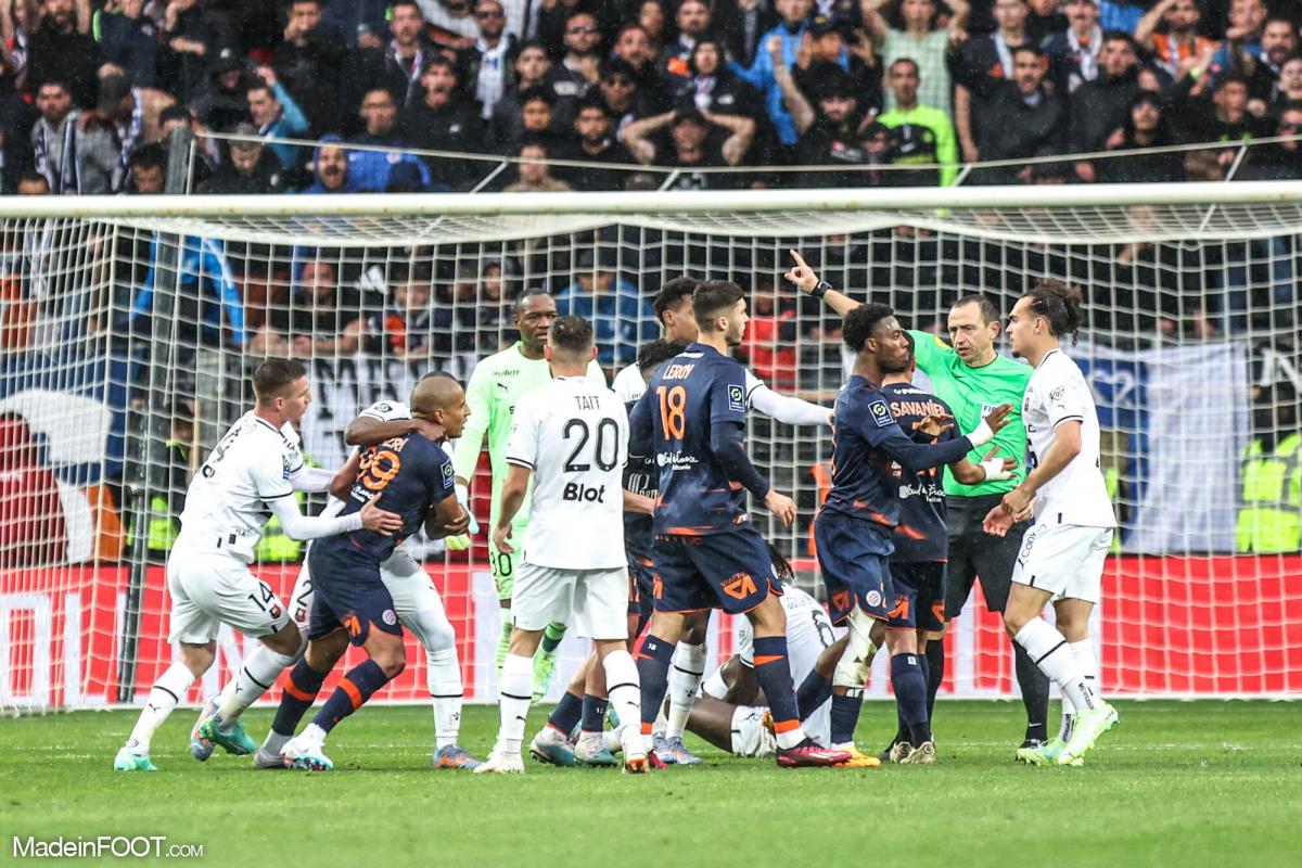 Photos MHSC Ligue 1 : Matchs, Montpellier 1 - 0 Rennes - 23/04